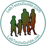 Tips for Developing Healthy Study Habits - Lab Tests Guide Blog