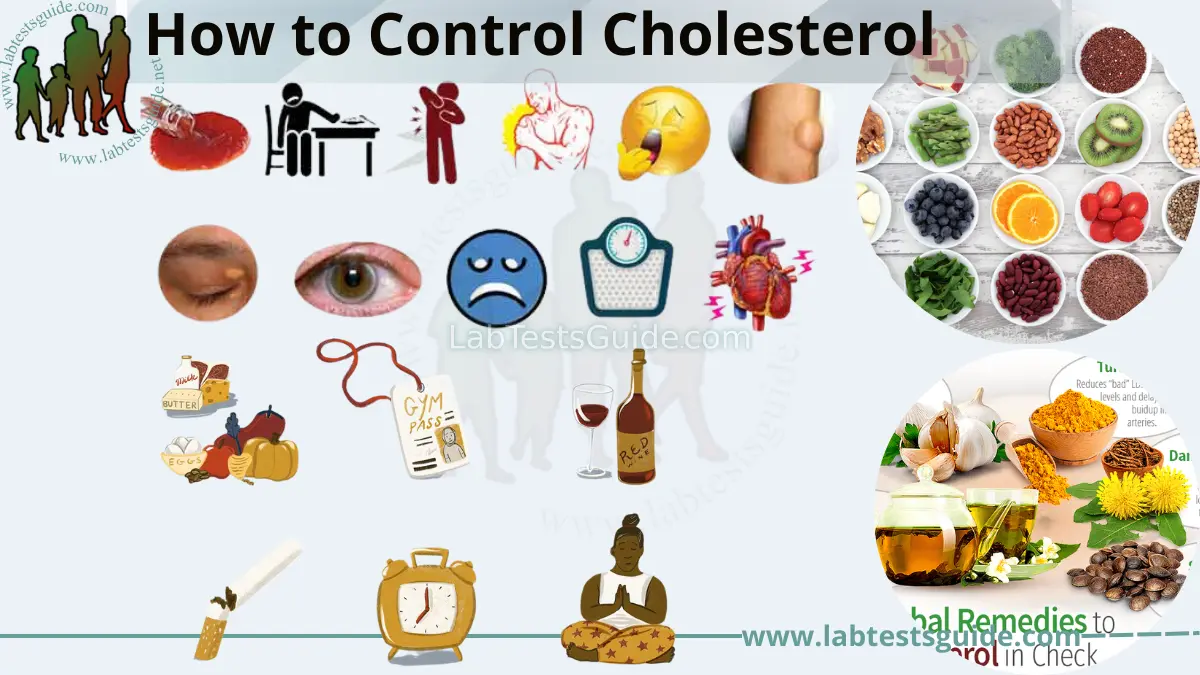 Effective Ways to Manage and Control Cholesterol Levels: Tips ...