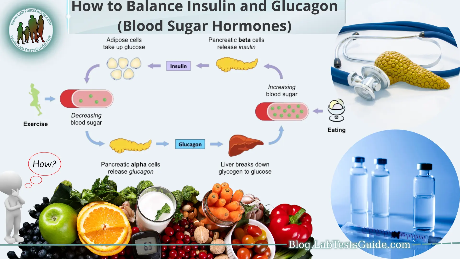 How to Balance Insulin and Glucagon (Blood Sugar Hormones) - Lab Tests ...