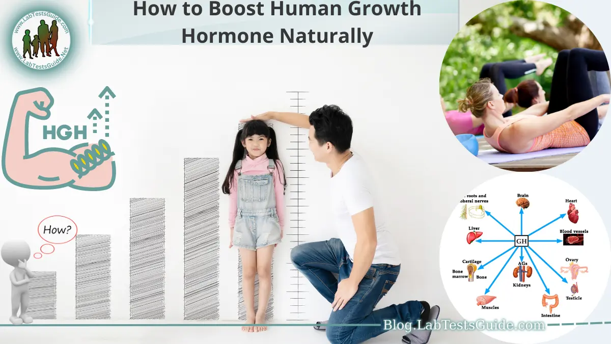 How To Boost Growth Hormone Naturally Lab Tests Guide Blog