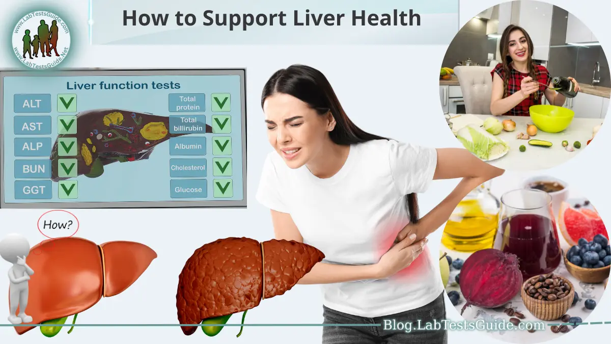 How to Support Liver Health - Lab Tests Guide Blog